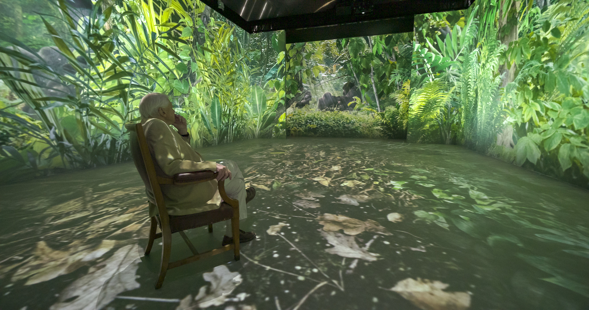 Our Story with David Attenborough opens its doors at the Natural History Museum on 19 June 2025 ...